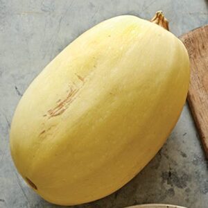 Burpee Vegetable Spaghetti Winter Squash Seeds 75 seeds