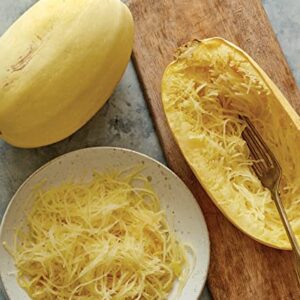 Burpee Vegetable Spaghetti Winter Squash Seeds 75 seeds