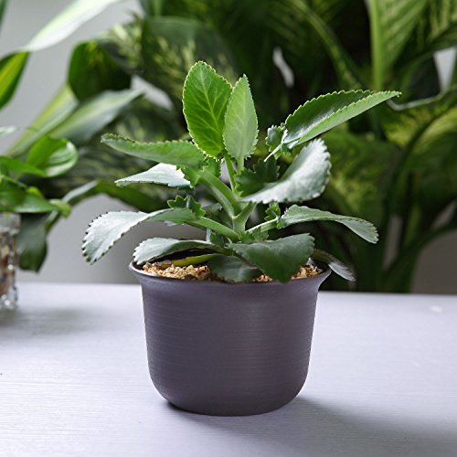 T4U 4.25 Inch Plastic Planter Pots with Saucer Brown Set of 10, Seeding Nursery Planter Pot with Drainage and Tray for Flowers Herbs African Violets Succulents Orchid Cactus Indoor Outdoor