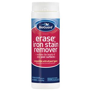 bioguard erase iron stain remover (1.75 lb)