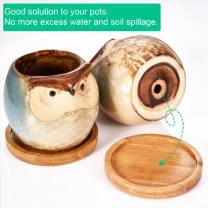 Trays 2.5 Inch Bamboo Round Plant Saucer for Most Plant Pot Flower Pot, Solution for Owl Pot with Hole (6 Pack)