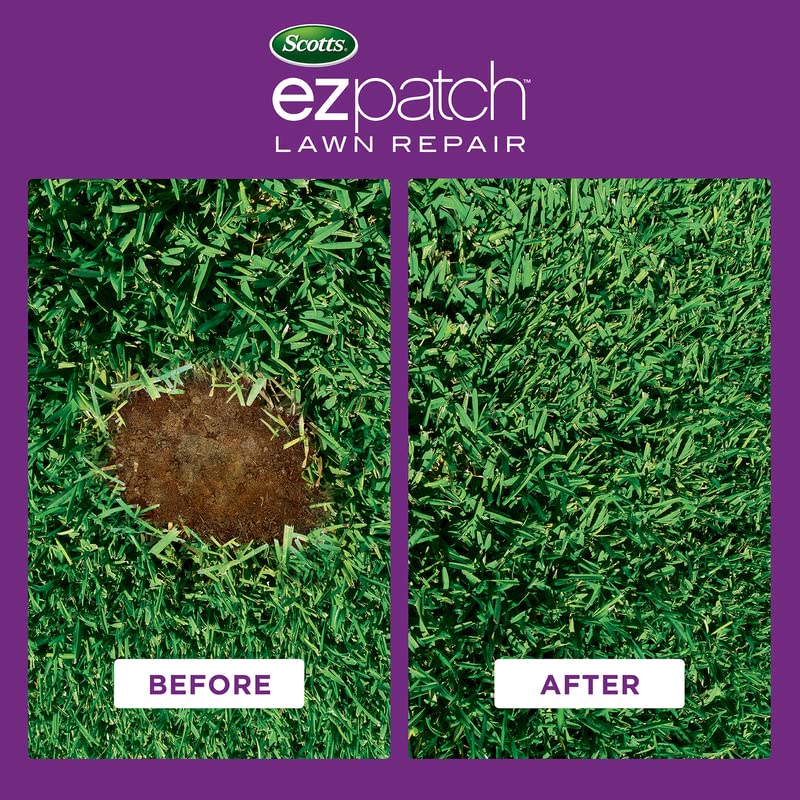 EZ Seed Patch For St. Augustine Grass, 3.75-Lb., Covers 85 Sq. Ft.