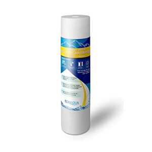 Ronaqua Big Sediment Replacement Water Filters 1 Micron 4.5"x 20" Cartridges Well-Matched with 155358-43, 2PP20BB1M, AP810-2, FPMB-BB5-20, FP25B, P5-20BB, SDC-45-2005 (20 Pack, 20")