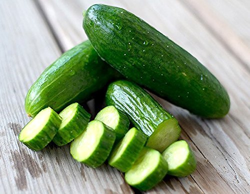 30+ Persian Beit Alpha (A.k.a. Lebanese) Cucumber Seeds Heirloom NON-GMO Crispy Fragrant From USA