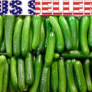 30+ Persian Beit Alpha (A.k.a. Lebanese) Cucumber Seeds Heirloom NON-GMO Crispy Fragrant From USA