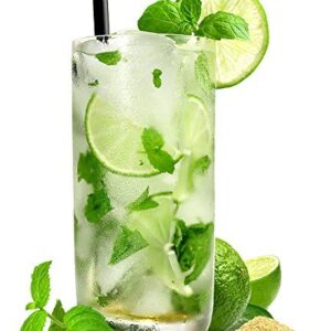 100+ Mojito Mint Seeds, Heirloom Herb Non-GMO, Fragrant Rare! Ships from USA