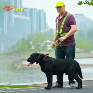 zojo Reflective Vest | Lightweight, Adjustable | Safety & High Visibility for Running,Fits Outdoor Cloth Pack of 10, Neon Yellow