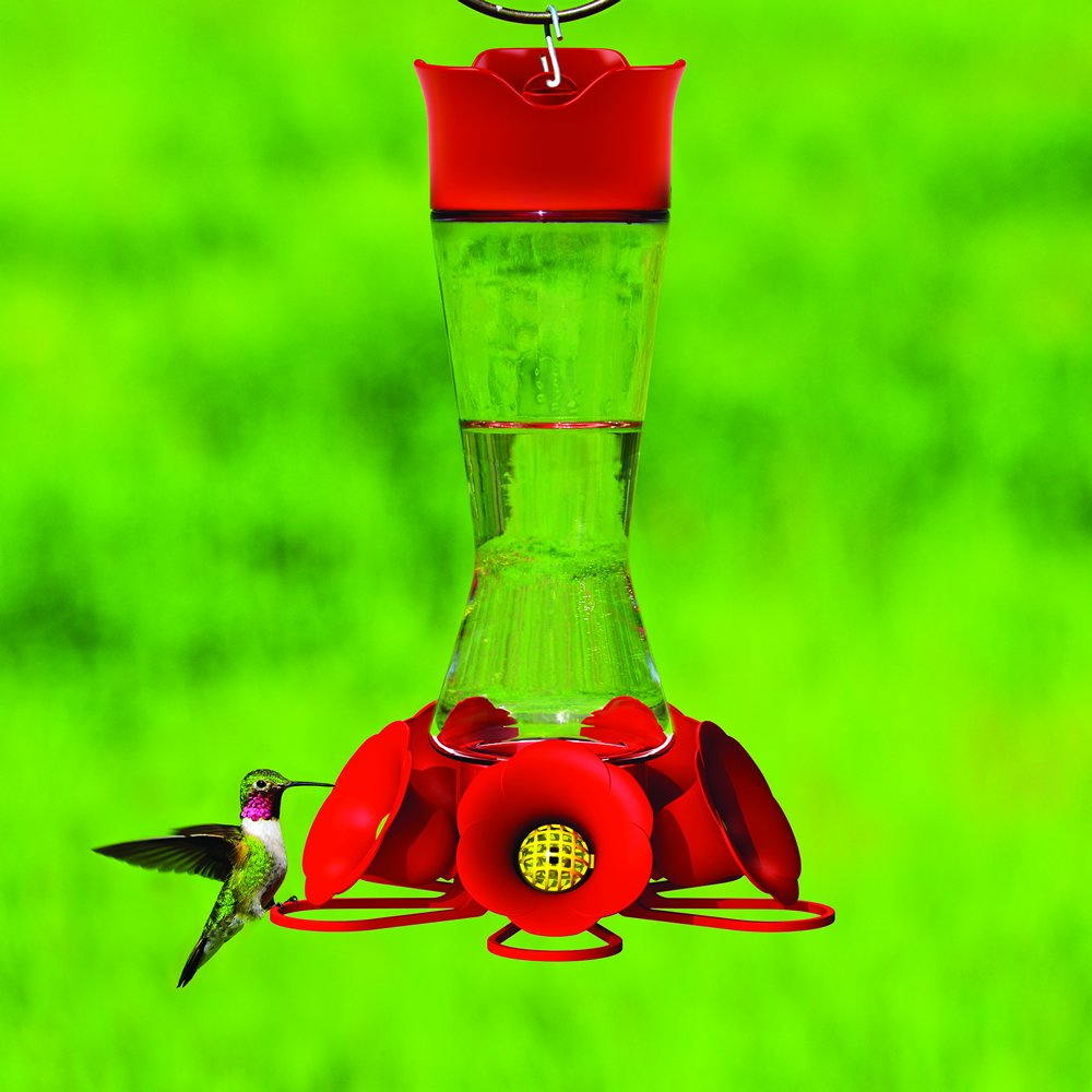 Perky-Pet 204CP-4 Favored Pinch-Waist Glass Hummingbird Feeder with Built-in Ant Moat and Bee Guards - 16 oz