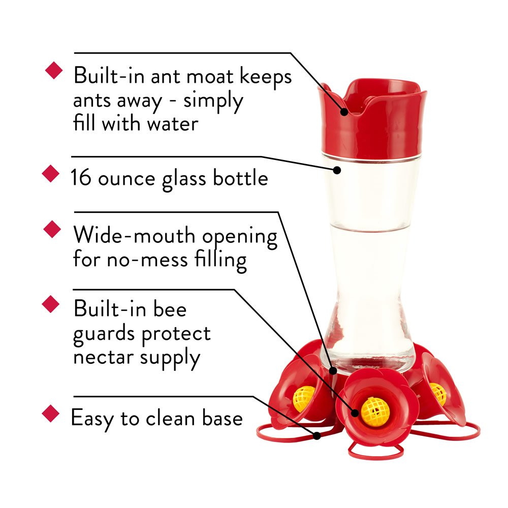 Perky-Pet 204CP-4 Favored Pinch-Waist Glass Hummingbird Feeder with Built-in Ant Moat and Bee Guards - 16 oz