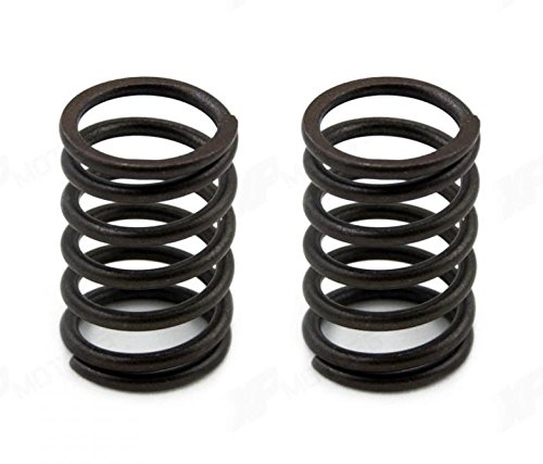 Sellerocity Brand Valve Springs Compatible with Most Honda GX120 GX160 GX200 GXV140 OEM 14751-ZF1-000