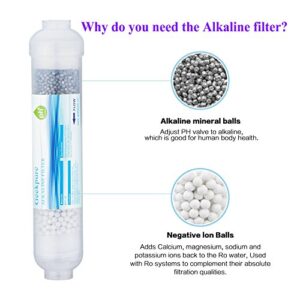 Geekpure 10-inch Inline Alkaline Replacement Water Filter Cartridge pH+ for Reverse Osmosis RO System -1/4”Thread