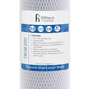 Coconut Shell CTO, Cyst Carbon Block Drinking Water Filter, 2.5 x 10, 0.5 Micron