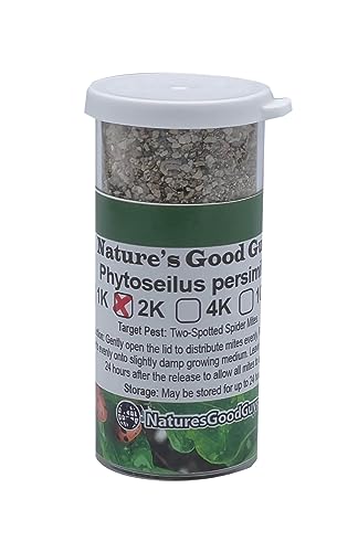 Nature's Good Guys 2,000 Live Adult Predatory Mites Packed in a 16 oz Container - P. persimilis a Predatory Mite Species for Spider Mite Control - Ships Next Business Day!