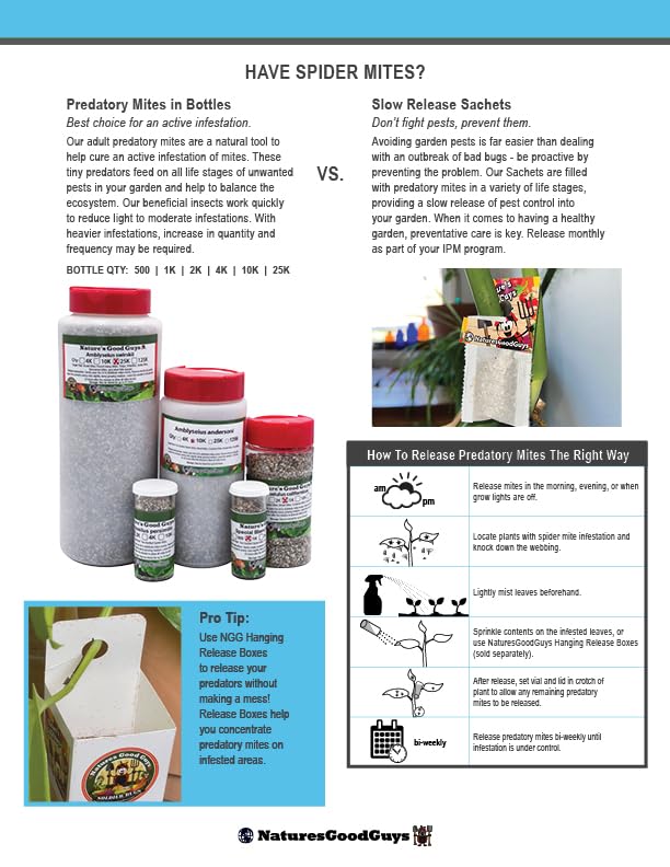 Nature's Good Guys 2,000 Live Adult Predatory Mites Packed in a 16 oz Container - P. persimilis a Predatory Mite Species for Spider Mite Control - Ships Next Business Day!