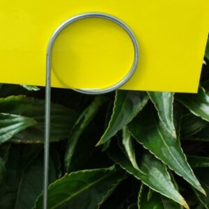 wire sticky trap/sign holders for insect traps 10ct