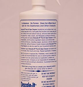 Pool & Spa Cleaner (32 FL Oz)