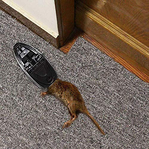 HasaT Best Mouse Traps That Work, Mouse Trap Quick Kill, Best for Small Mouse/mice Trap. Safe for Families and Pets. Pack of 6 and The Materials You Need to Get Rid of Mouse