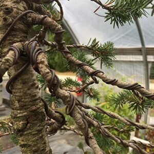 100gm Bonsai Wire [4.0mm]