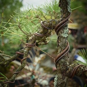 100gm Bonsai Wire [4.0mm]