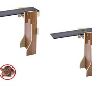 Jeremywell Walk The Plank Mouse Trap - Plank Mouse Trap Auto Reset - Humane Bucket Rat Trap - No Drilling Required - Kill or Live Catch Mice & Other Pests & Rodents (2 PCs)