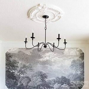 Ekena Millwork CM20VIUWF Vienna Ceiling Medallion, 20"OD x 3 1/2"ID x 1 1/2"P, Hand-Painted Ultra Pure White