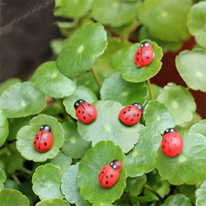 Alasida 60PCS Garden Ladybugs Miniature Plant Pots Bonsai Craft Ornament Decor with Self-adhesive Micro Landscape DIY Decoration