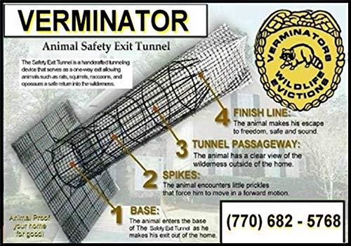 Verminators - Wildlife Evictions Squirrel Safety Exit Tunnel