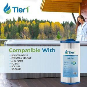 Tier1 Pool & Spa Filter Cartridge 2-pk | Replacement for Jacuzzi J300 6541-383, Pleatco PJW60TL-OT-F2S, Filbur FC-2715, Unicel 6CH-961 and More | 60 sq ft Pleated Fabric Filter Media