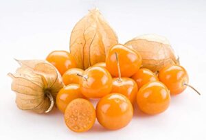 heirloom ground cherry tomatillo heirloom seeds - physalis peruviana - 250 seeds, 1/2 gram - b270