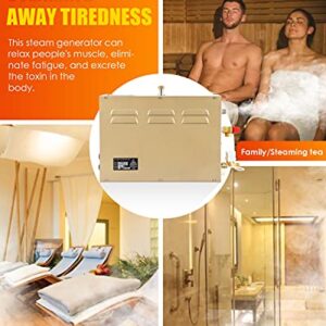 CGOLDENWALL 9KW Commercial Self-Draining Steam Generator Shower System Home Steam Bath Spa Generator 30 min to 12 Hours with Auto Drain 95-131℉ for Suitable Space Heating 9 m³/318 Cubic feet (9KW)