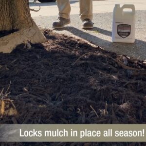 Landscape Loc Mulch & Rock Bond - Landscaping Glue, Locks Mulch, Rock, & Gravel in Place, Ready to Use, No Mixing, Fast-Drying, Strong, Sprayable, Adhesive, Binder, and Stabilizer, (5 Gallon, 1)