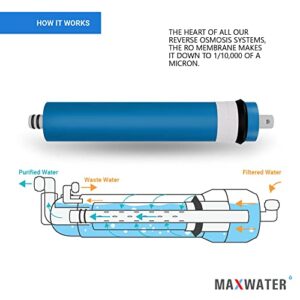 Max Water Combo Pack RO Filter Replacement Set - 2 Carbon Filters and + 1 RO Membrane