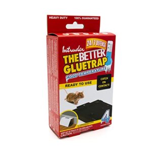 intruder 17505 the better gluetrap-cold temperature glue trap, small, black