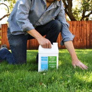 Advanced 16-4-8 Lawn Fertilizer - Liquid Lawn Food Spring & Summer Concentrated Spray - Any Grass Type- Fish and Seaweed Kelp- Balanced NPK - Simple Lawn Solutions (1 Gallon)