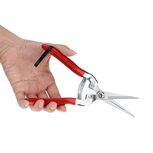 Sturdy Fruit Tree Bonsai Gardening Trimming Pruning Shears Garden Scissors Pruner Tool for Hand Pruners Trimmer Garden Clippers Flower Cutter (Straight Blade)