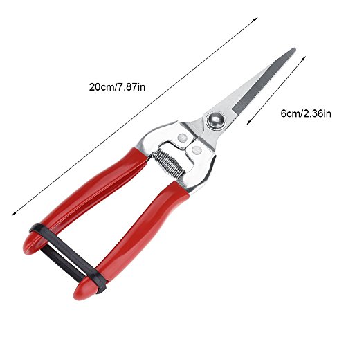 Sturdy Fruit Tree Bonsai Gardening Trimming Pruning Shears Garden Scissors Pruner Tool for Hand Pruners Trimmer Garden Clippers Flower Cutter (Straight Blade)