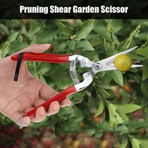 Sturdy Fruit Tree Bonsai Gardening Trimming Pruning Shears Garden Scissors Pruner Tool for Hand Pruners Trimmer Garden Clippers Flower Cutter (Straight Blade)