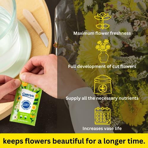 Chrysal Clear Flower Food Packets – Single Packet – Flower Arrangements & Bouquets – Floral Supplies for Fresh Flowers – Fresh Flower Arrangements Supplies – Ideal Florist Supplies- 100 Ct-10g/1 liter