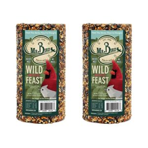 mr. bird wild bird feast cylinder 28 oz | wild bird food for outdoor birds | backyard birdfeeding