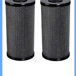 CFS – 2 Pack Carbon Polyester Water Filter Cartridges Compatible with NCP-BB Models – Remove Bad Taste and Odor – Whole House Replacement Filter Cartridge – 9-3/4” x 4-1/2”