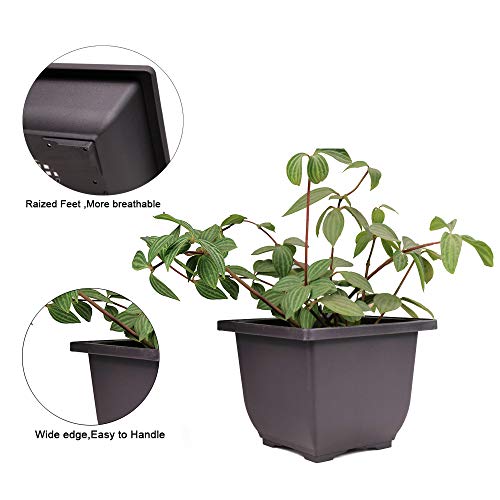 6PCS/Pack Retro Style Deep Square Small Bonsai Training Pots with Tray, Mini Plastic Mocha Garden Flower Pot 5"