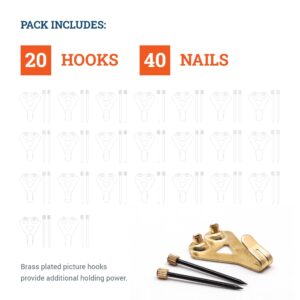 Heavy Picture Hangers 50 lbs - 20 Pack - Picture Hangers for Plaster Walls - Picture Hanging Hooks