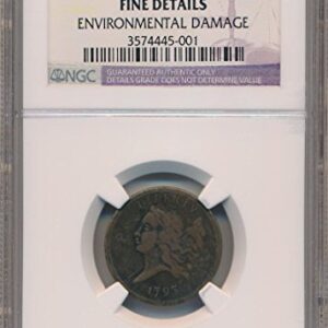 1793 P Flowing Hair Half Cent Fine Details NGC