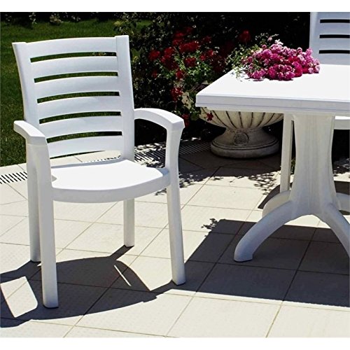 Atlin Designs Resin Patio Outdoor Dining Arm Chair in White, Commercial Grade (Set of 2)