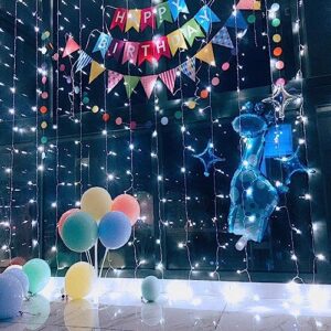 Lighting EVER Dual Color Curtain Lights Warm & White, 10 ft x 10 ft 300 LED Backdrop Lights with Remote/Timer/Dimmer/9 Modes, Indoor Outdoor Hanging Fairy Lights for Bedroom, Wedding Party, Patio