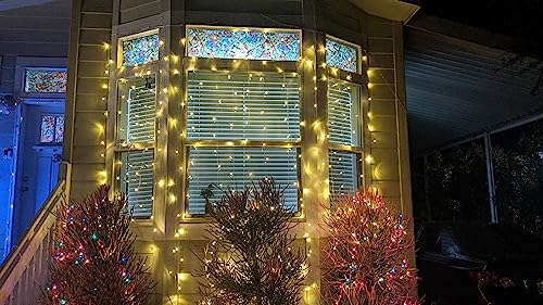 Lighting EVER Dual Color Curtain Lights Warm & White, 10 ft x 10 ft 300 LED Backdrop Lights with Remote/Timer/Dimmer/9 Modes, Indoor Outdoor Hanging Fairy Lights for Bedroom, Wedding Party, Patio