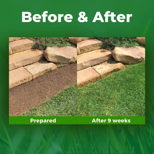 Growtrax Biodegradable Grass Seed Mat, Year Round Green - 50 Sq Ft Quick Fix Roll - Growing Solution for Lawns, Dog Patches and Shade - Just Roll Water & Grow -Not Fake or Artificial Grass