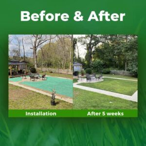 Growtrax Biodegradable Grass Seed Mat, Year Round Green - 50 Sq Ft Quick Fix Roll - Growing Solution for Lawns, Dog Patches and Shade - Just Roll Water & Grow -Not Fake or Artificial Grass