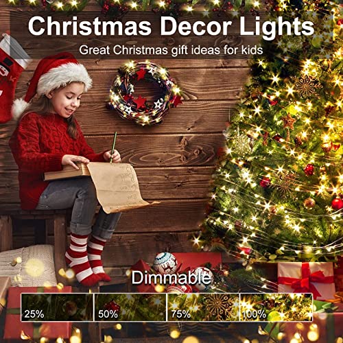 ECOWHO Christmas String Lights Outdoor, 66ft 200 LED Battery Operated Warm White Fairy Twinkle Lights Indoor with Remote, IP65 Waterproof, 8 Lighting Modes for Xmas Tree Garden Holiday Bedroom Decor