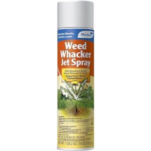 weed whacker jet spray 18oz